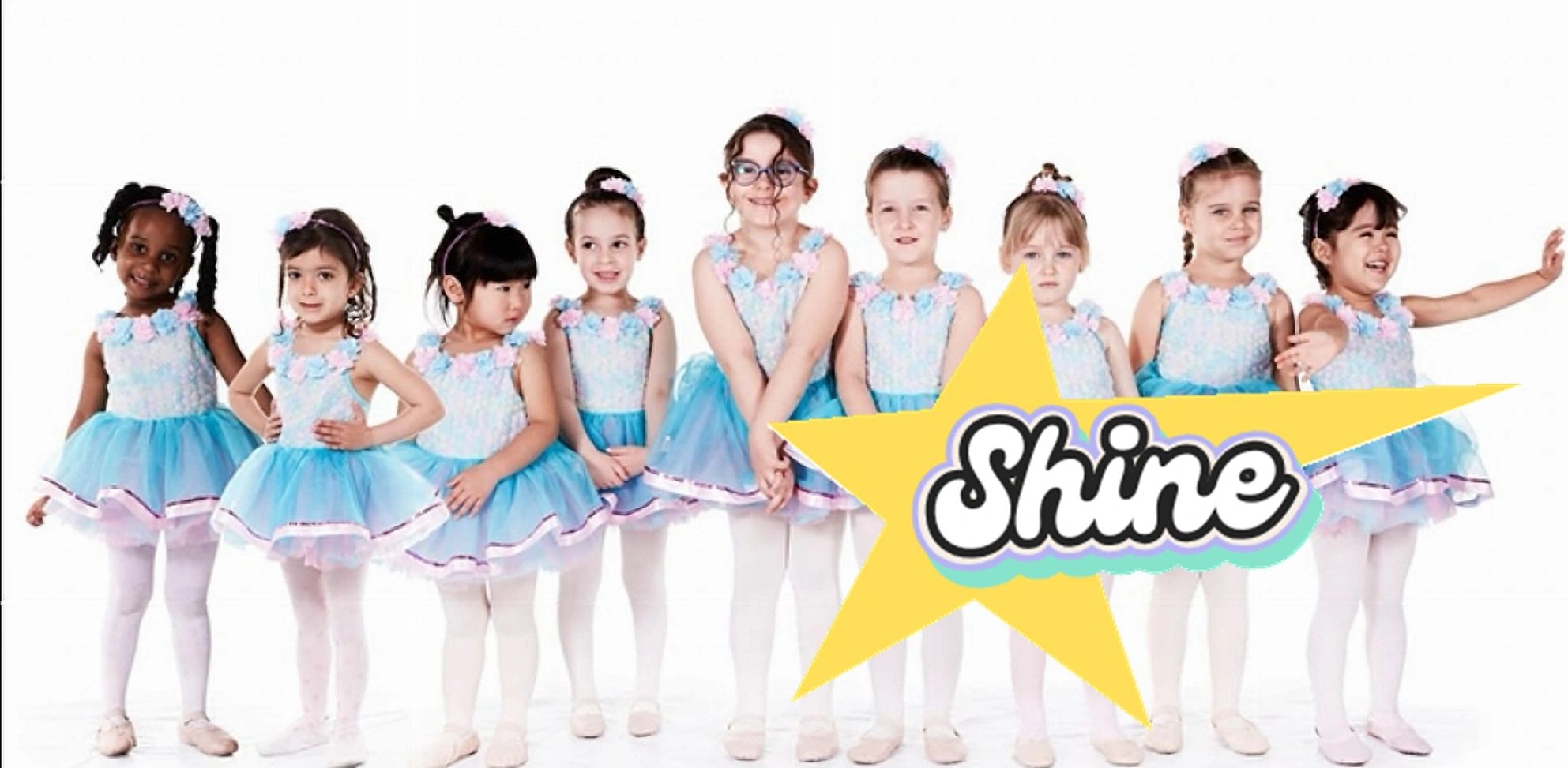 Shine Arts Co
